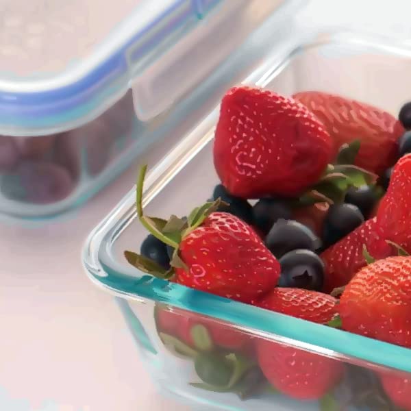 SUPREME BOX Snapware 2-Cup Total Solution Rectangle Food Storage Pyrex Glass Containers (Pack of 2)