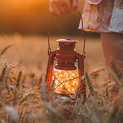 Moonflor LED Fairy String Lights 40Ft with 120 LEDs, Waterproof Dimmable Firefly Lights with Remote, Plug in Copper Wire Starry Lights for Christmas Bedroom Patio, Warm White