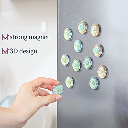 STARUBY Refrigerator Magnets 12 pcs Funny Fridge Magnets Decorative Magnets for Whiteboard Cute Locker Magnets for Boys and Girls Glass Magnets for Refrigerator Office and Kitchen