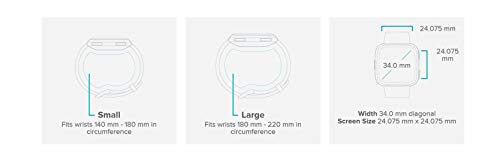 Montre Sport Fitbit Versa Graphite Special Edition