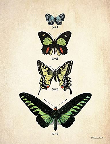 Posterazzi PDXSB887SMALL Artwork, Medium, Multi