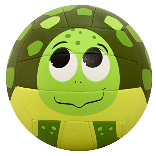Molten Recreational Volleyball
