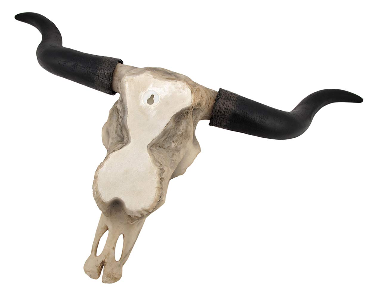 Long Horn Cow Skull Wall Hanging Longhorn Steer
