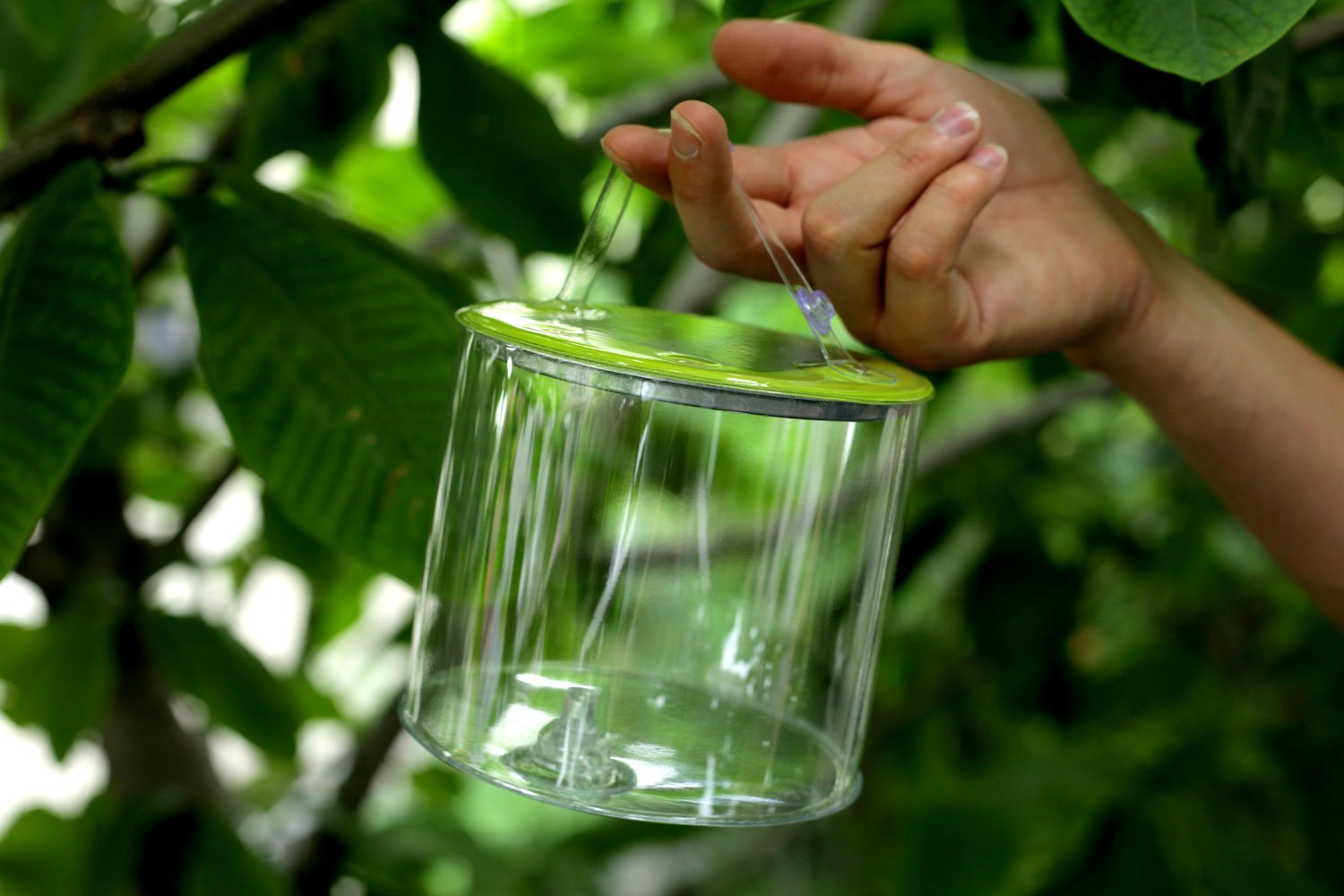 MPOWERD Luci Outdoor 2.0 - Inflatable Solar Light, Clear Finish, Adjustable Strap