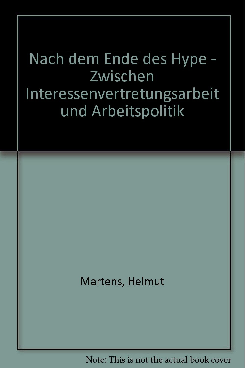 Nach dem Ende des Hype - Zwischen Interessenvertretungsarbeit und Arbeitspolitik