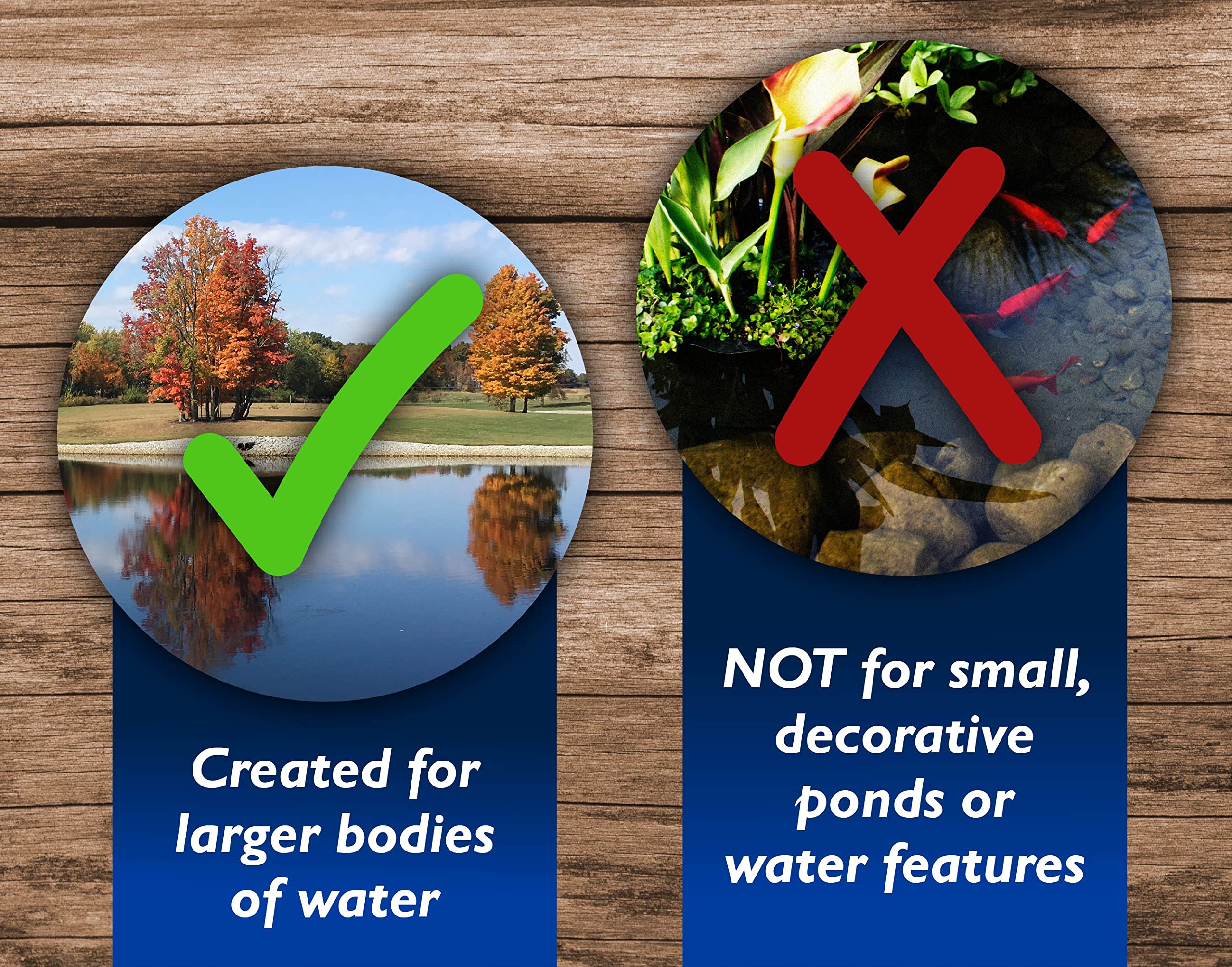 Muck Doctor, 5 Biological Spikes to Reduce Muck, Perfect for Beach Fronts, Lake Docks and Swimming Areas