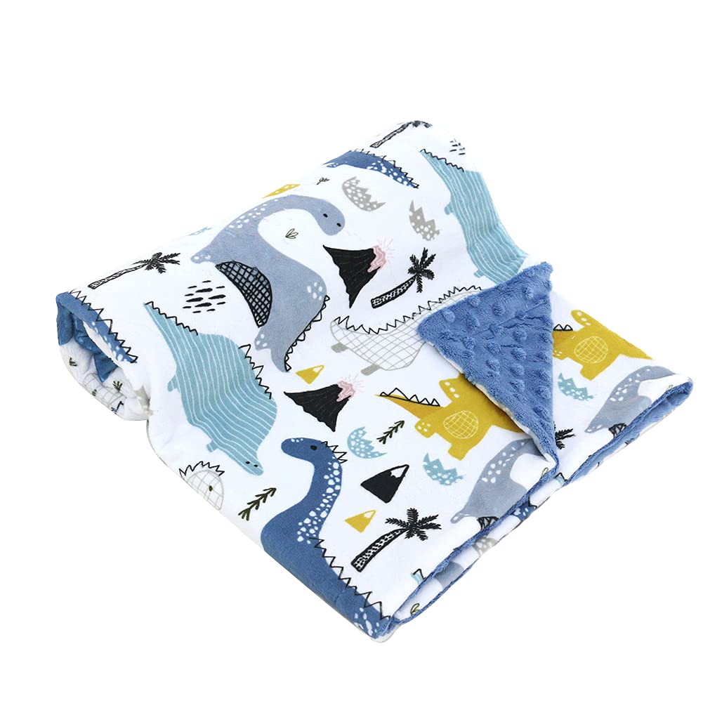 NS Brook Baby Blanket 30 X 40 Inches, Unique Design and Super Soft Minky with Double Layer Dotted Backing for Newborn and Toddler, Best for Boy