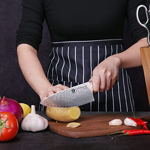 WILDMOK Damascus Kitchen Knife Set with Block Premium Quality 7 Pieces Kitchen Knife Set Razor-Sharp with Ergonomic Handle (7pcs Knife Block Set Blue Resin Handle)