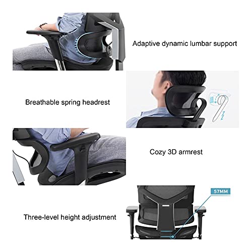 Mesh Office Chair Ergonomic Swivel Black Mesh Computer Chair with Lumbar Support Adjustable Height Task Chair for Home Office Desk Chairs (Color : Grey)