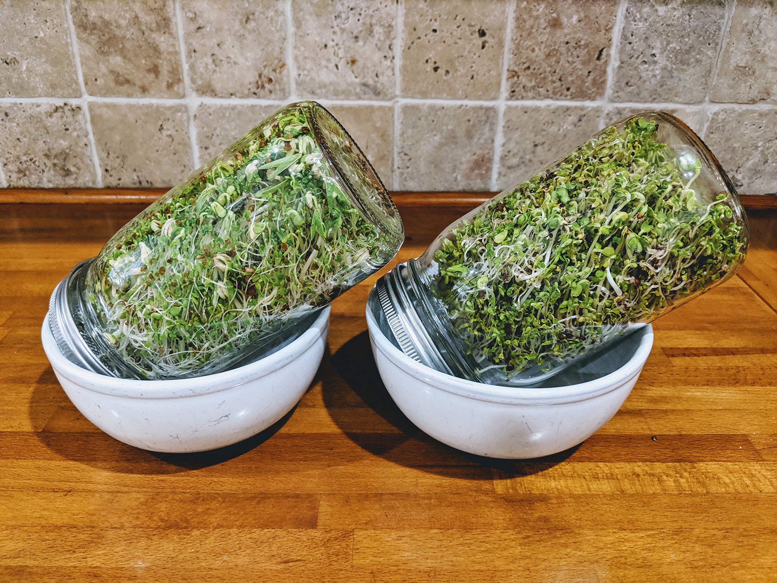 Sprouting Jar with Screen Lid-316 Stainless Steel 100% Rust Free, Wide Mouth Quart Mason Jar Kit Sprouter, Organic Healthy Fresh Broccoli, Alfalfa, Mung Bean Sprouts and more (Seeds not included)