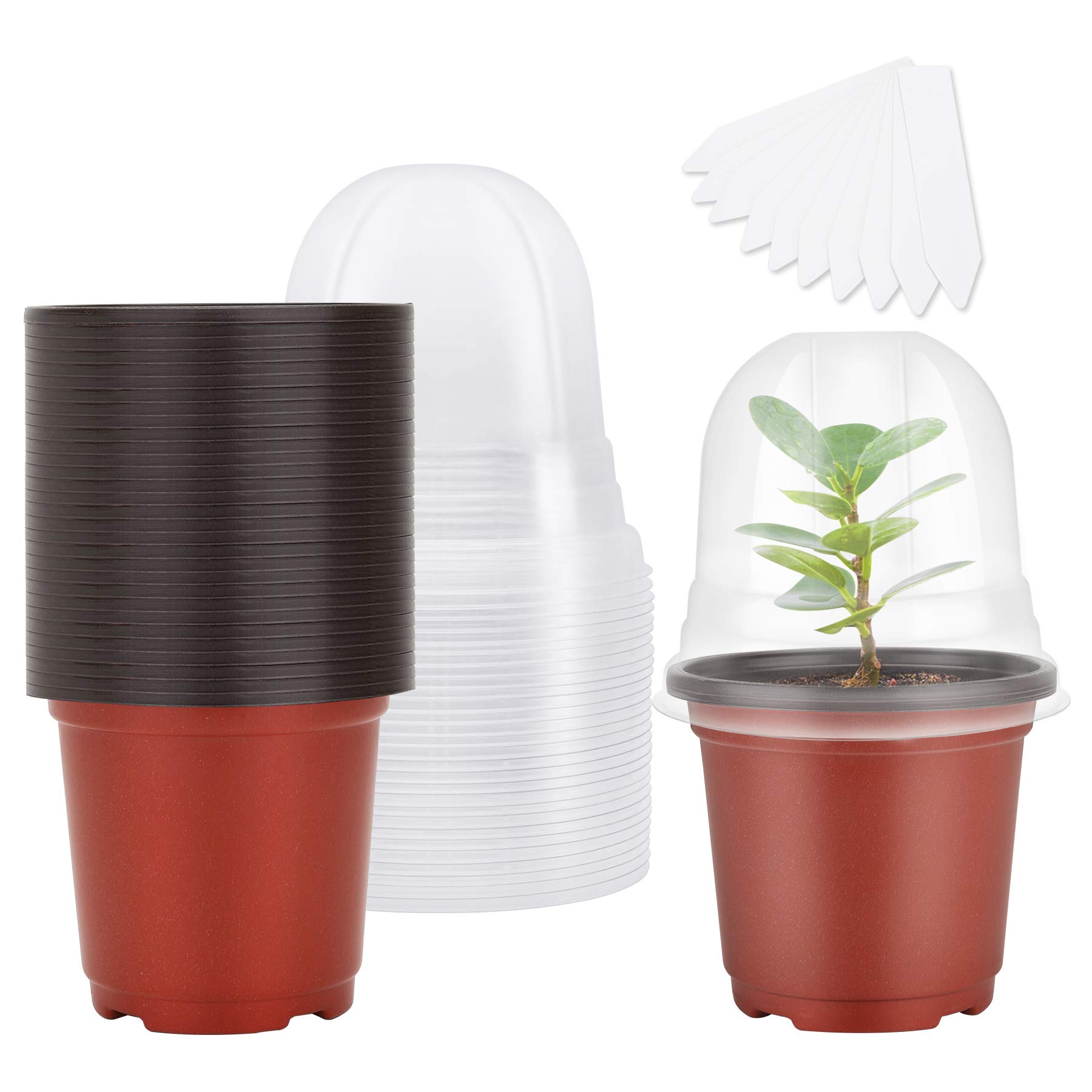 MIXC Plant Nursery Pots with Humidity Dome 4" Soft Transparent Plastic Gardening Pot Planting Containers Cups Planter Small Starter Seed Starting Trays for Seedling with 10pcs Plant Labels,30 Sets…