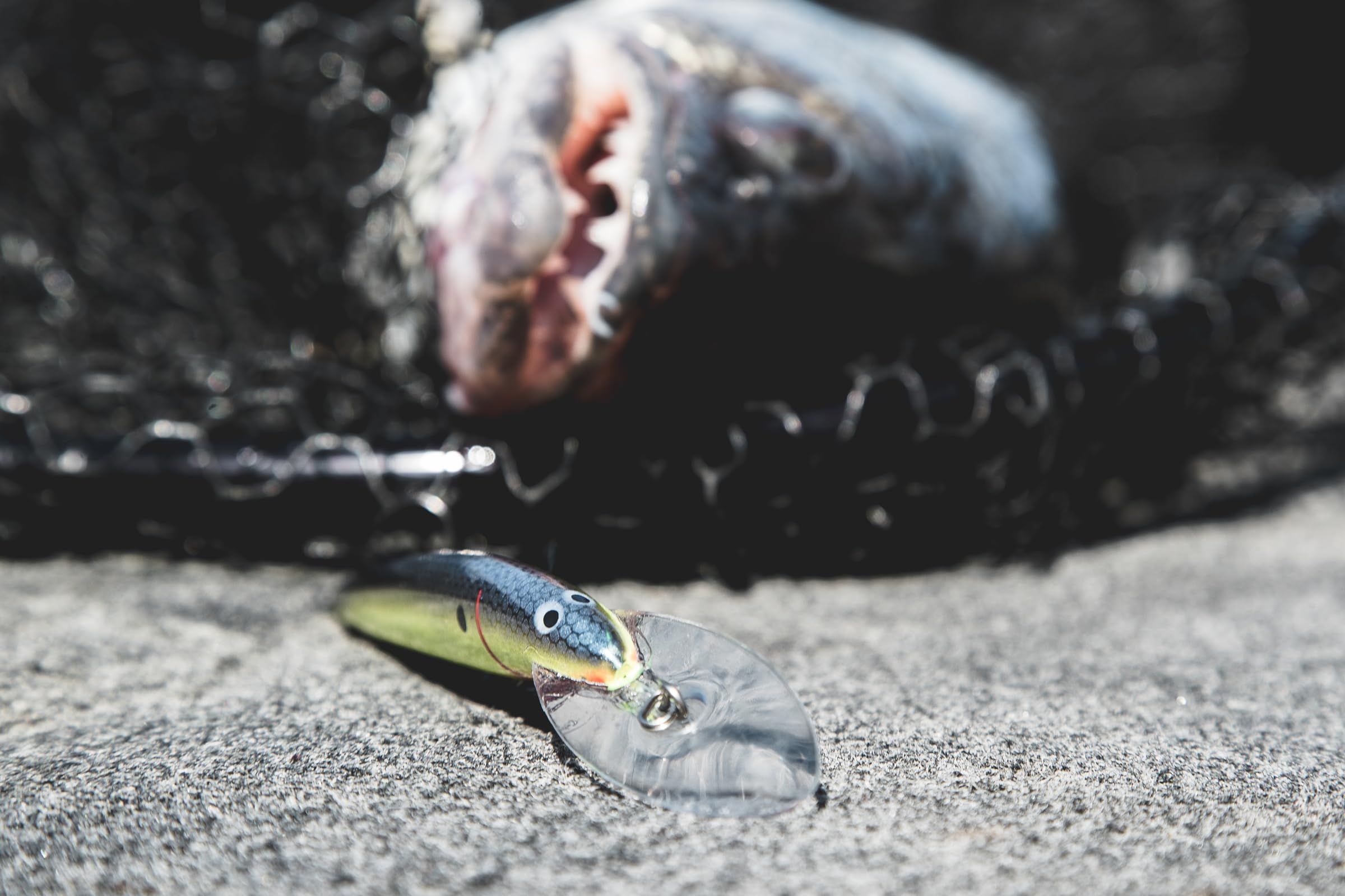 Northland Tackle Rumble Stick Fishing Lure, Freshwater Deep Diving Trolling Crankbait for Walleye, Perfect Lure for Any Kit, Pink Pearl, Size #5, 5", 5/8 Oz