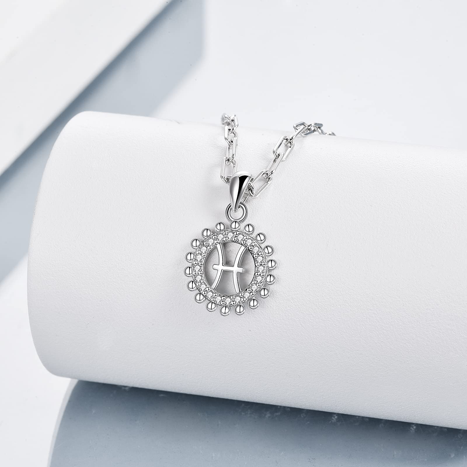 S925 Sterling Silver Zodiac Sign Necklace 12 Constellation Astrology Paperclip Chain Necklace for Women Pisces (2.19-3.20)