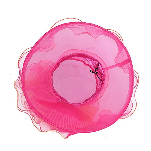 Wimdream Women Kentucky Derby Hats for Church Tea Party Organza Fabric