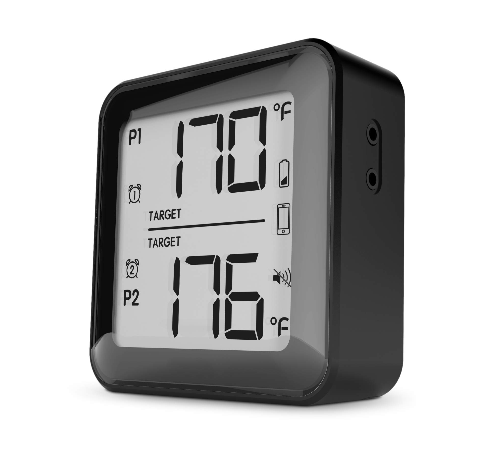 TempoChef Bluetooth Smart Meat Thermometer for Grill Oven and Smoker, Cooking Food and Control Temperature Smart, Dual Stainless Steel Probes
