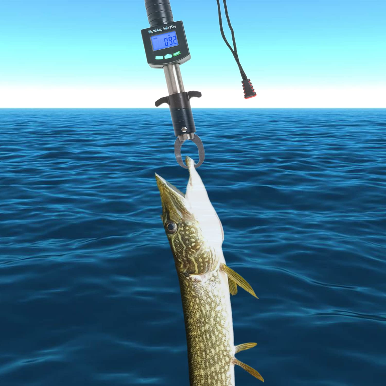 NC 3 in 1 Fish Lip Gripper Fishing Stainless Steel Fish Holder Fish Lip Grip Tool with Electronic Digital Weight Scale 55lb