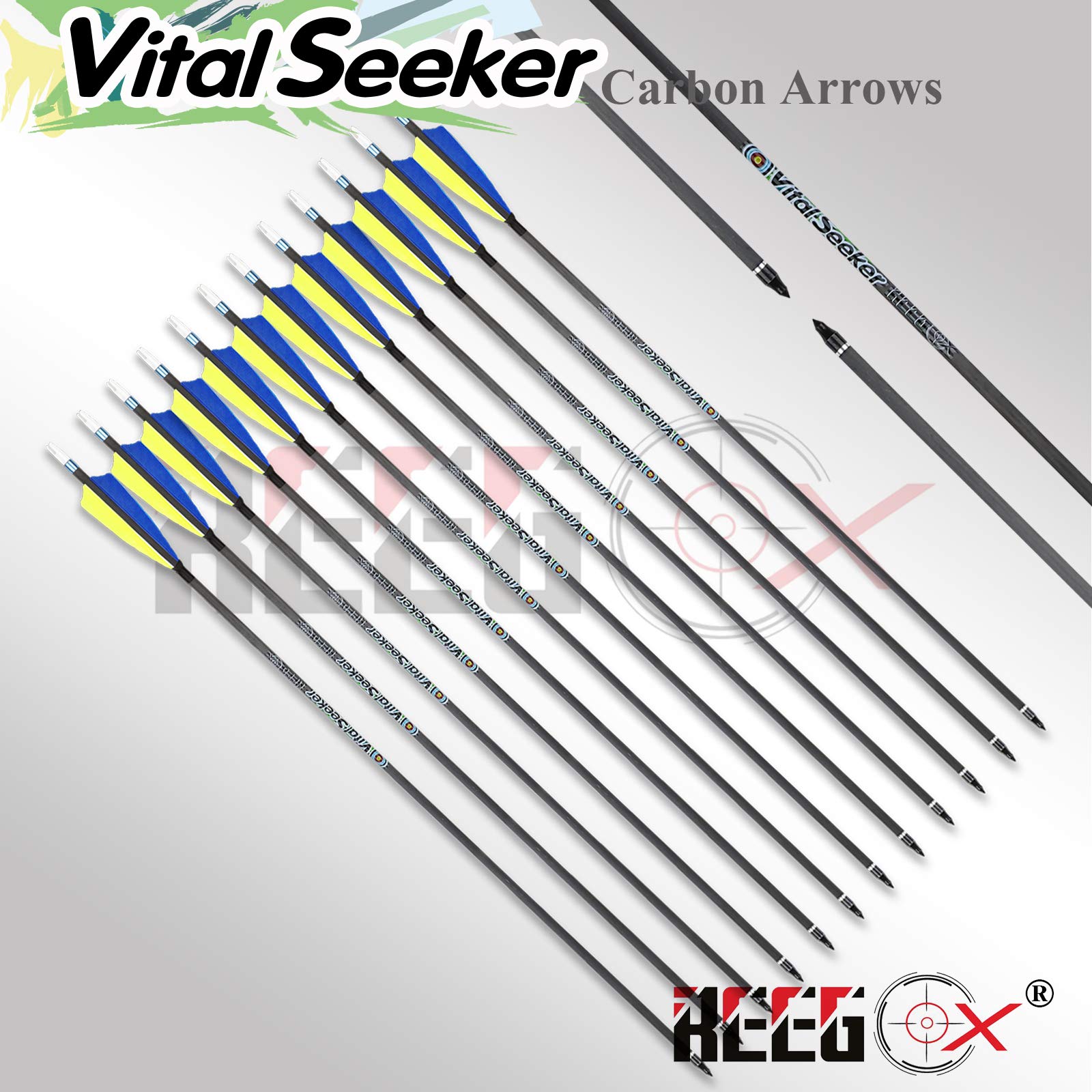 REEGOX Archery Feather Arrows Carbon 30 inch with 4” Turkey Feathers for Hunting Targeting Recurve Compound or Traditional Bow with Removable Tips (6pk)