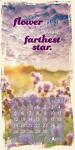 Mindful Days 2020 Calendar