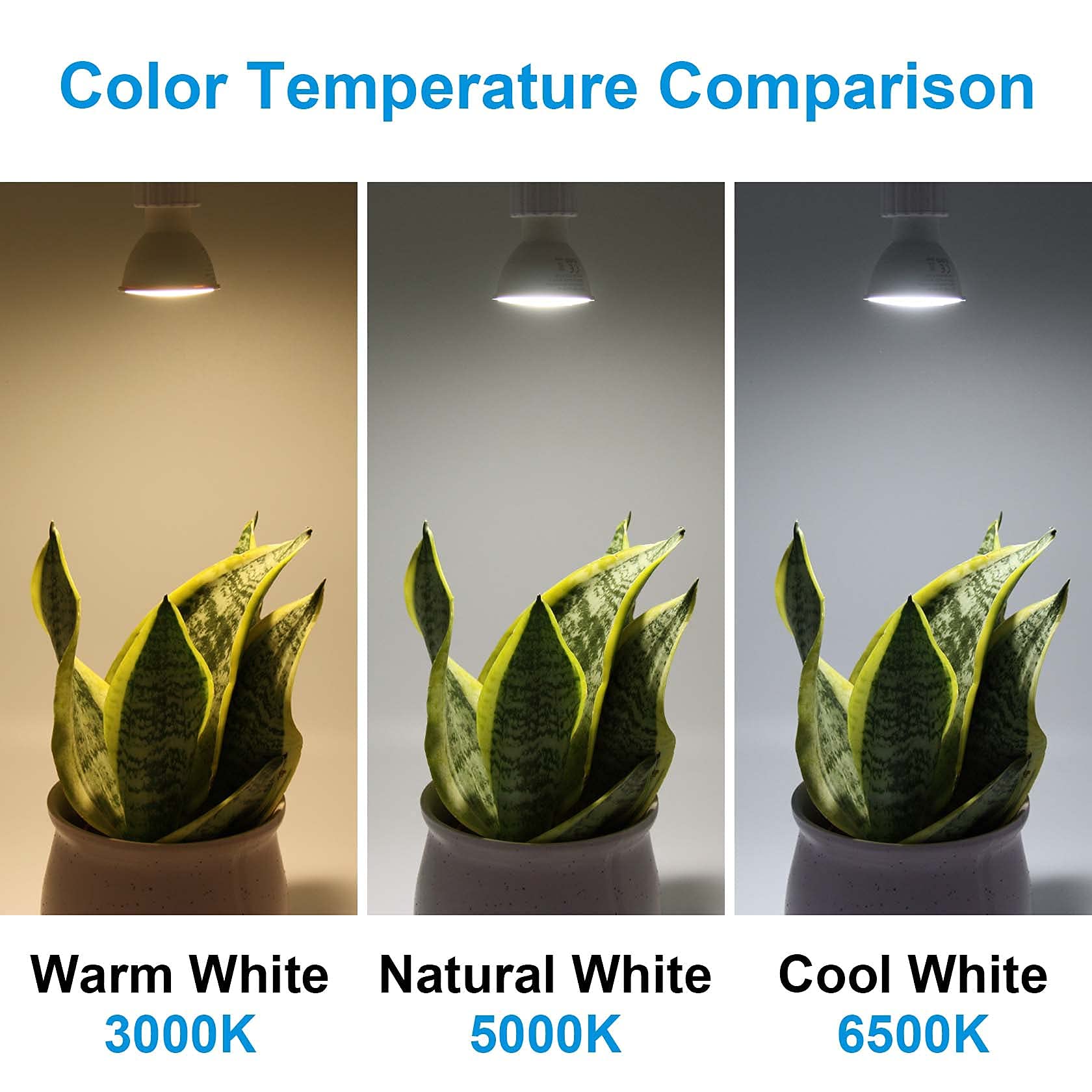 ORALUCE GU10 LED Bulbs, 6 Watt Equivalent to 50W Halogen Light Bulb,Non-dimmable,6500K Cool White, 120 V, 480 Lm,120° Flood Beam Angle, MR16 Shape for Recessed, Track Lighting, Pack of 6