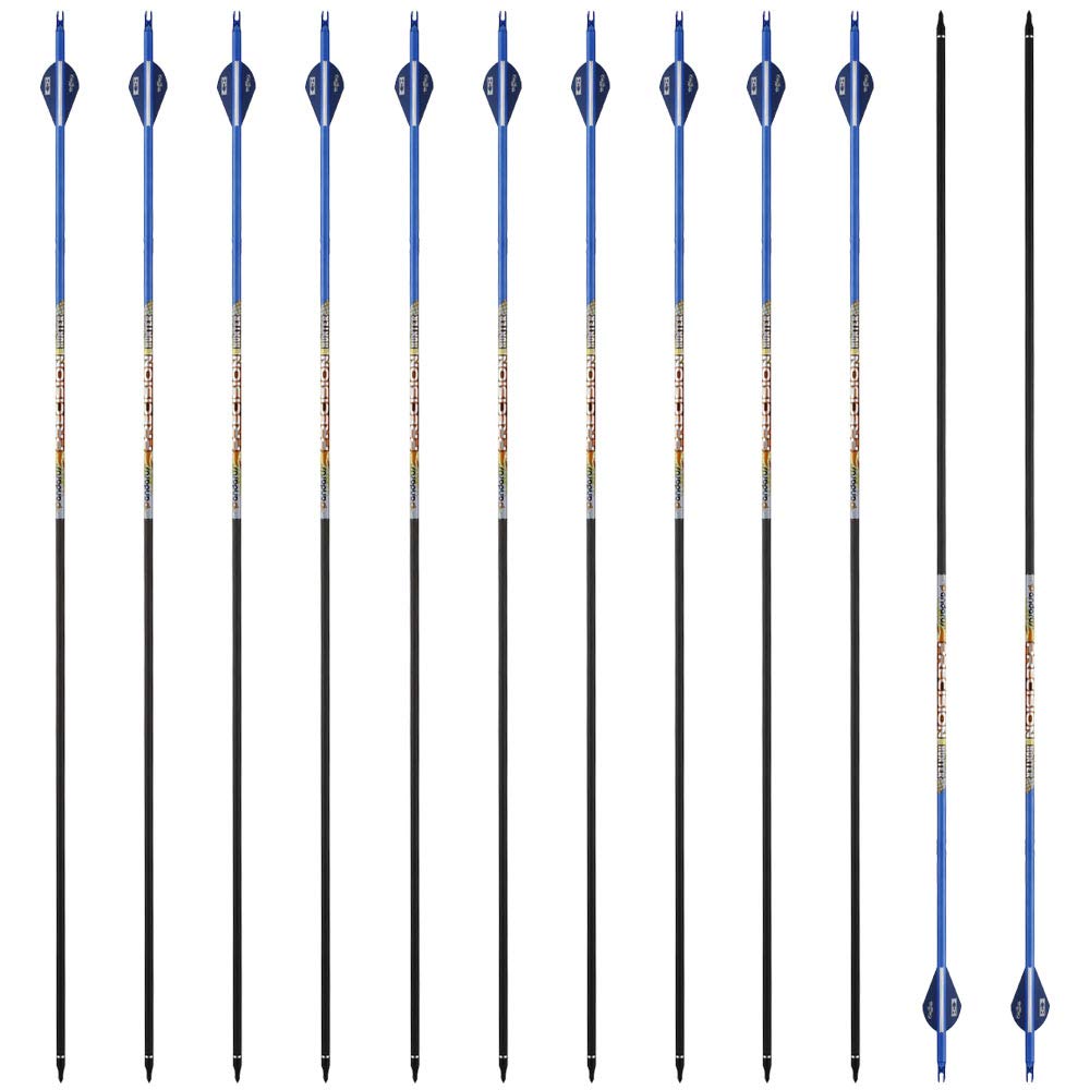 PANDARUS 30/32" Inch ST0.006 Hunting Arrows for Compound & Recurve Bow,100% Carbon Archery Target Arrows with Removable Tips for Accurate Hunters & Bowhunters (Pack of 12)-32 inch Blue SP300