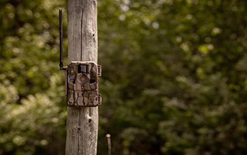 Stealth Cam outdoor Connect Cellular Camera - Verizon, 720p
