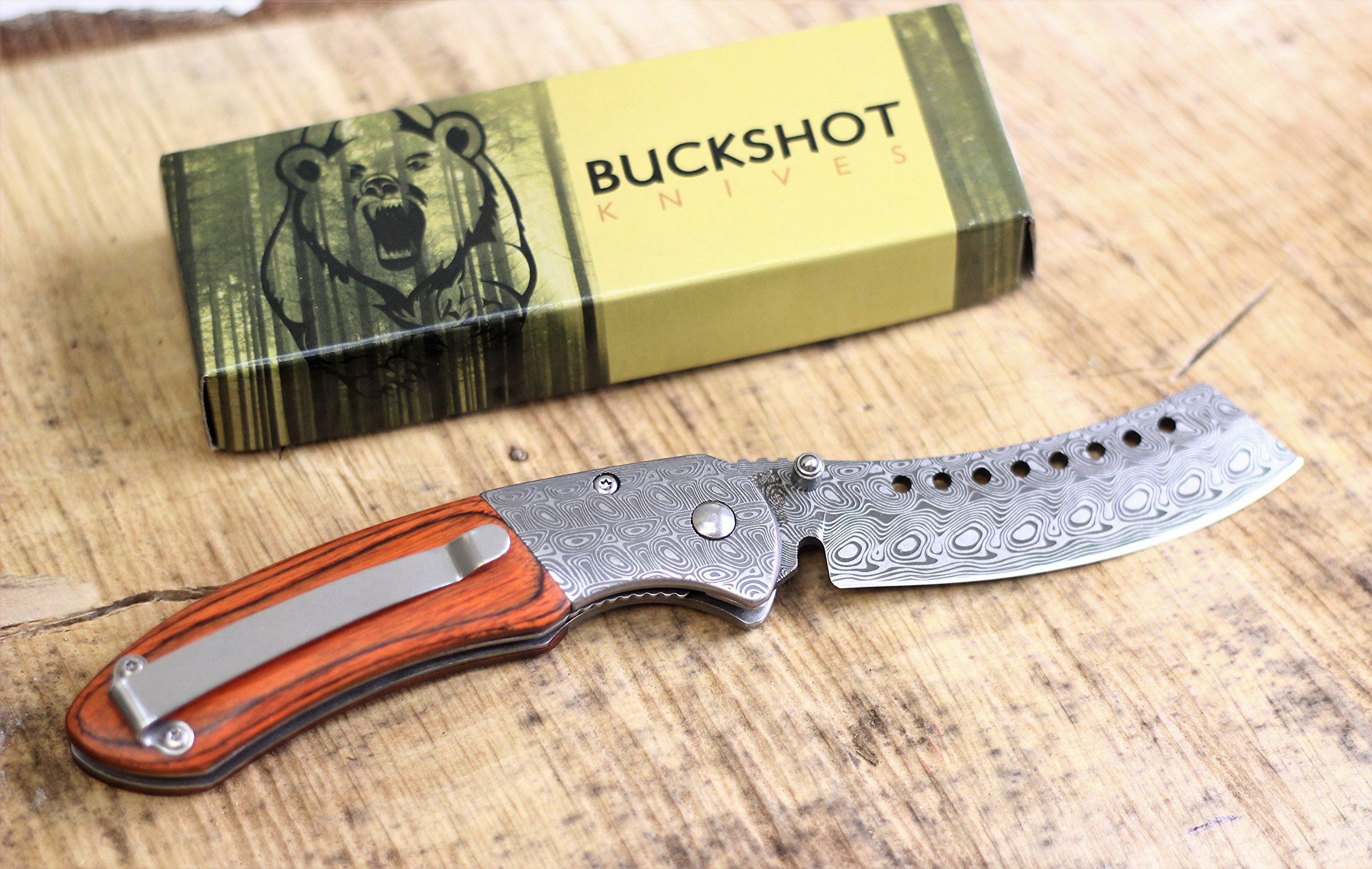 Wartech Buckshot Knives Thumb Open Spring Assisted Cleaver Classic Pocket Knife (PBK219DS)