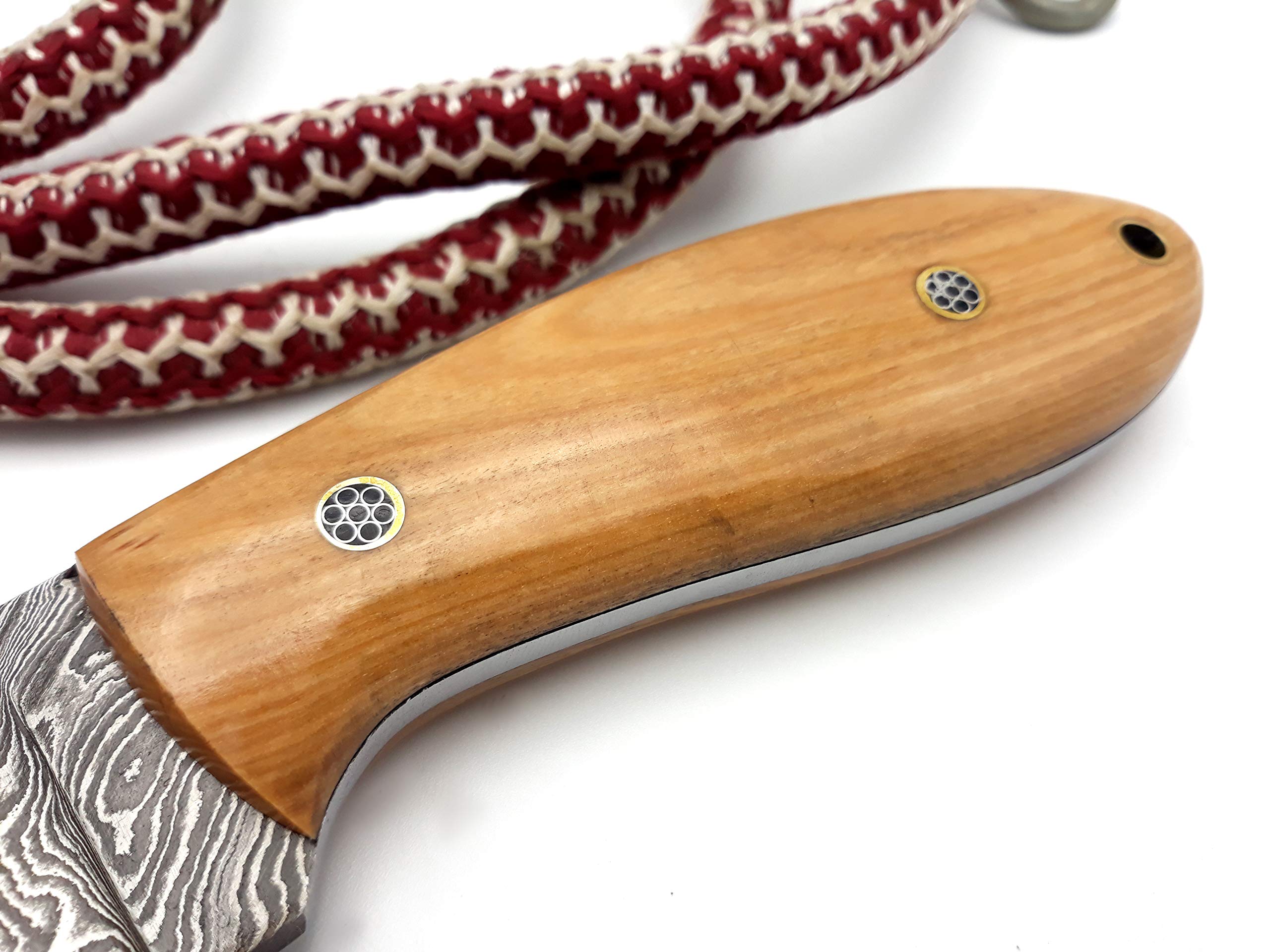 Nooraki REG- 61 Handmade Damascus Hunting knife 8.5 inches Full Tang Stag Head on Blade with Leather Sheath