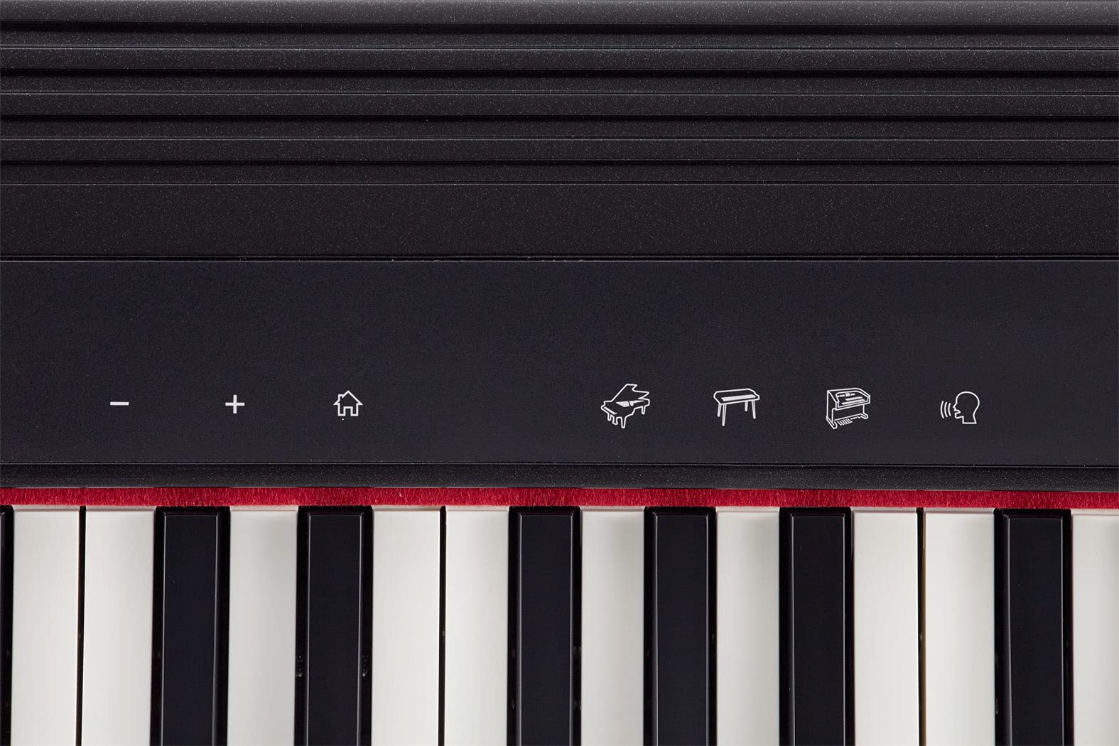 Roland GO:PIANO 61-Key Digital Piano Bundle with Roland DP-2 Pedal, Power Supply, Adjustable Stand, Bench, Instructional Book, Online Piano Lessons, and Austin Bazaar Instructional DVD