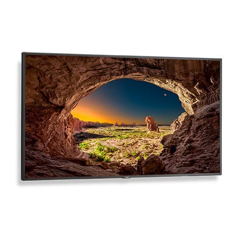 NEC V554 55" Commercial-Grade Large Format Display LED Monitor w/Speakers