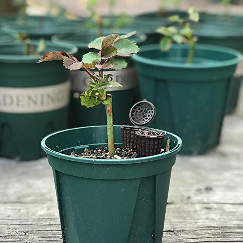 Tegg Fertilizer Basket 10PCS Fertilizer Box with Cover for Osmocote Orchid Bonsai Flower Plant