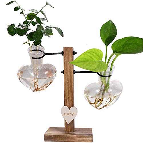 NEWCOMDIGI Hydroponic Vase, Heart Shaped Glass Planter Vase, Creative Desktop Bulb Vase for Home Garden Office Wedding Decoration (2 Vases)