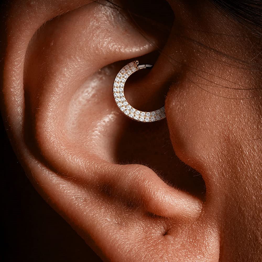 Pierced Owl 16GA G23 Implant Grade Titanium Double CZ Crystal Lined Cartilage Helix Daith Septum Hinged Segment Ring (Silver Tone, 8mm Diameter)