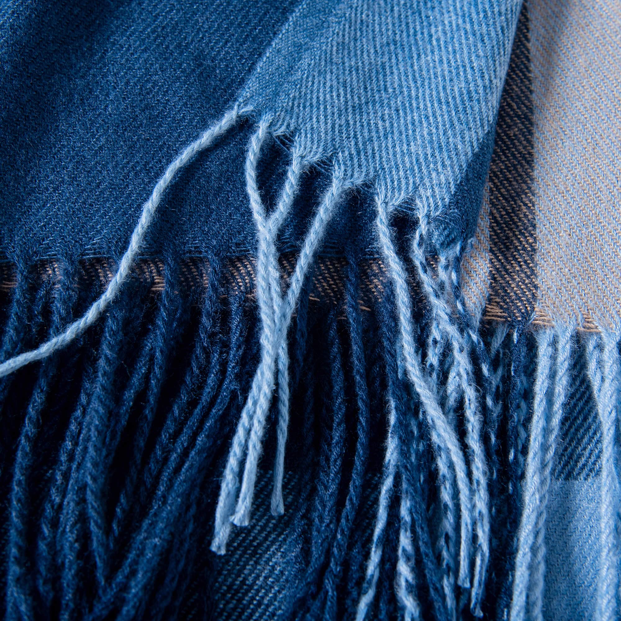 SPELLTIVE Classic Tassel Plaid Soft Cashmere Feel Womens Scarf (Blue Plaid)