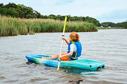 Perception Kayaks Hi Five | Sit on Top Kids Kayak for Kids up to 120 Lbs.| Youth Kayak with Paddle | 6' 6" | Funkadelic