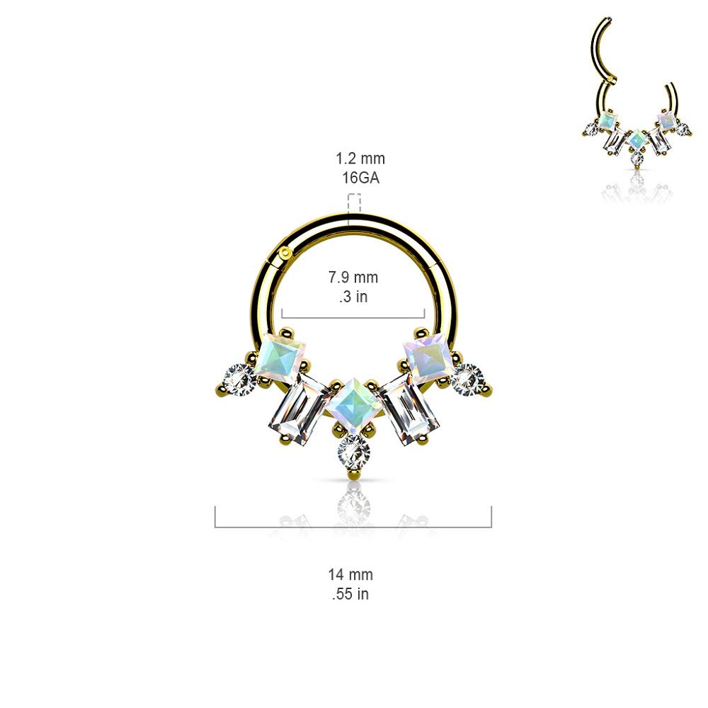 Pierced Owl 16GA Stainless Steel Multi CZ Crystal Fan Cartilage Helix Daith Septum Hinged Segment Ring (Silver Tone)