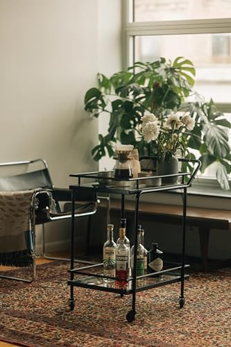 Nathan James Sally Rolling Bar or Cart for Tea or Cocktail, 2-Tiered Glass and Metal, Black