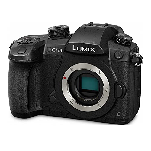 Panasonic LUMIX DC-GH5LK GH5 4K Mirrorless Camera with Leica DG 12-60mm Lens with Rode Microphones Wireless GO II Wireless Mic System and Accessory Bundle (5 Items)