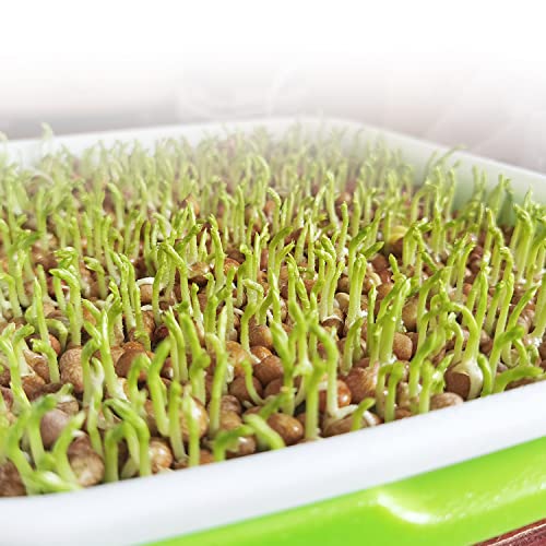 SDLDEER Seed Sprouting Tray, 5 Packs Microgreens Growing Trays Big Capacity Sprouts Growing Kit Soil-Free Sprouter Tray for Sprouting Seeds, Beans, Wheatgrass