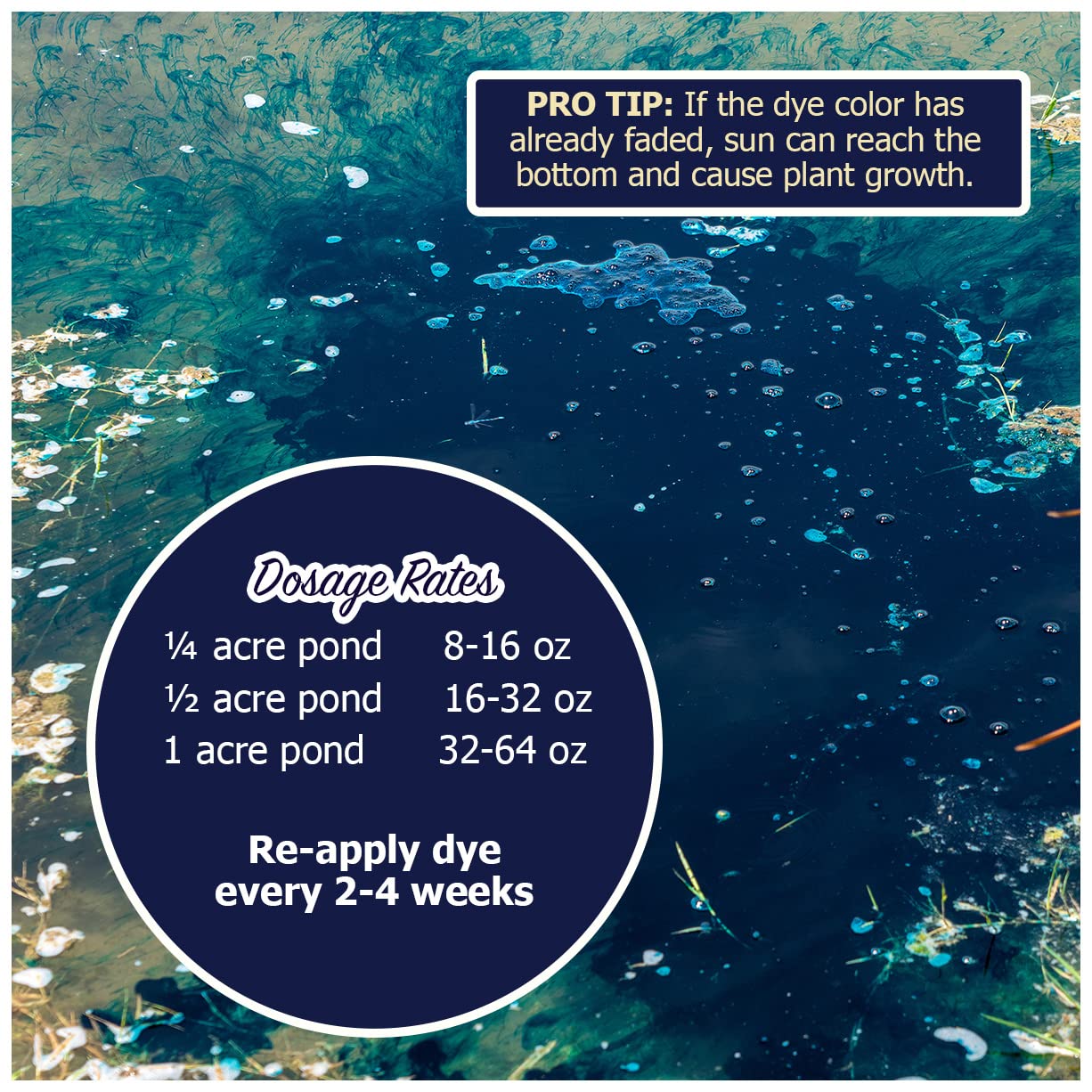 Natural Waterscapes Pond Dye - Midnight Blue Super Concentrate- 1 Quart Treats 1 Acre up to 6 Feet Deep, Dark Natural Looking Blue Pond Dye- Mix of Bright Blue Dye and Black Dye (1)