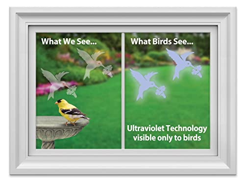 WindowAlert Hummingbird Anti-Collision Decal - UV-Reflective Window Decal to Protect Wild Birds from Glass Collisions - Made in The USA