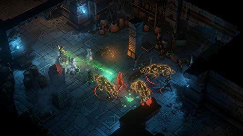 Pathfinder: Kingmaker - Definitive Edition - Xbox One