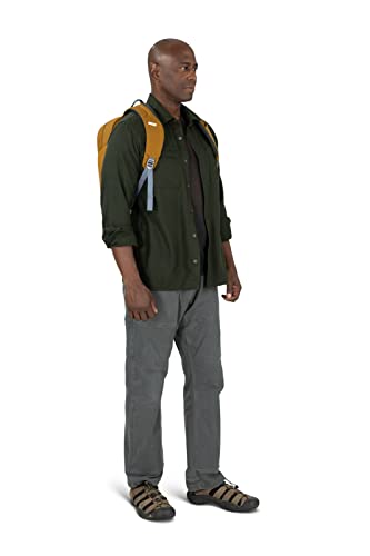 Osprey Arcane Small Day Commuter Backpack, Pine Leaf Green