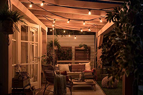 Philips LED Flicker-Free Dimmable Warm Glow Effect Frosted G16.5 Light Bulb, 650 Lumen, 2200-2700K, 3.8W35W, E26 Base, Title 20 Certified, 8-Pack , White