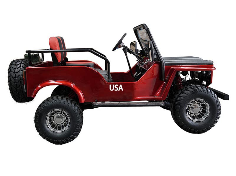 VITACCI GR2-125cc Go Kart with 3-Speed Semi-Automatic with Reverse and BIG 18" Aluminium Rim Wheels!
