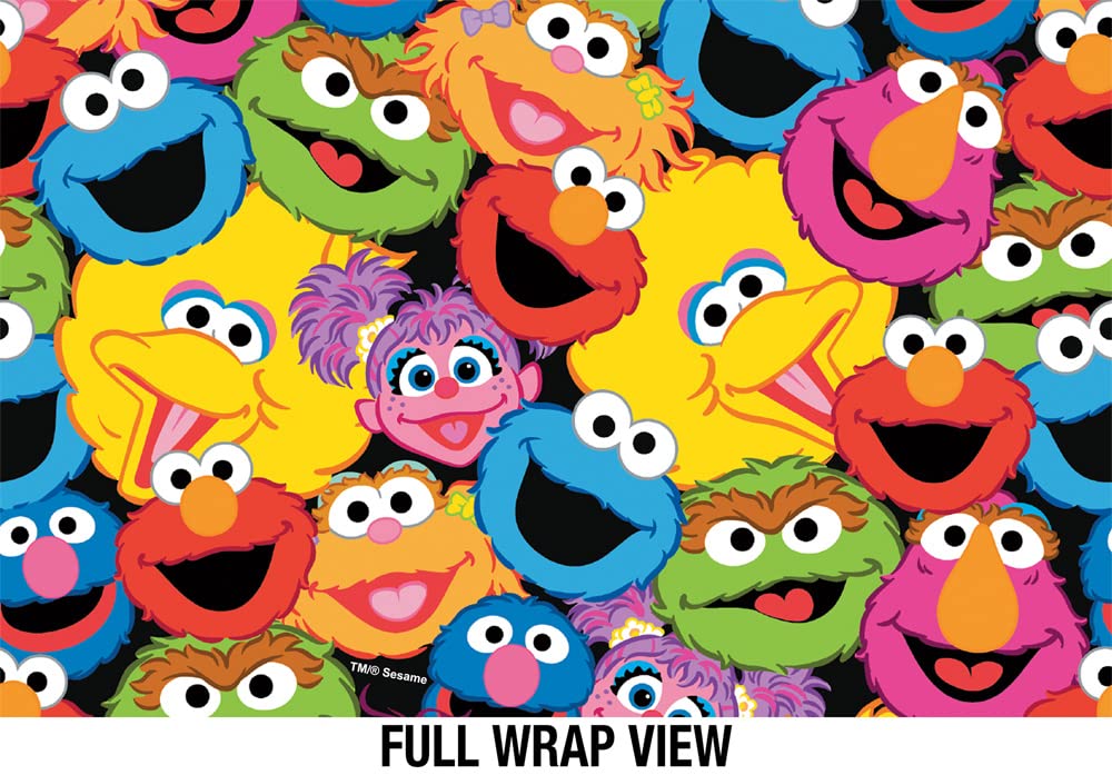 Sesame Street OFFICIAL Character Head Collage 18 oz Insulated Water Bottle, Leak Resistant, Vacuum Insulated Stainless Steel with 2-in-1 Loop Cap