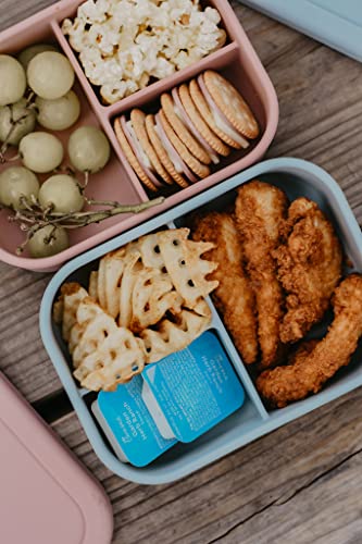 The Dearest Grey Leakproof Silicone Bento Box For Adults & Kids (Cloud)