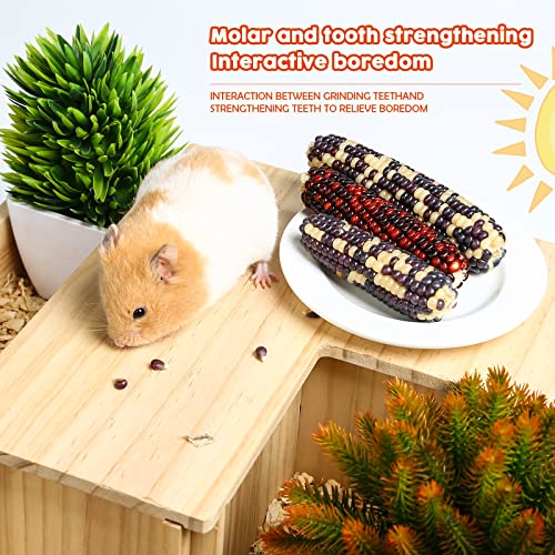 X-pet Hamster Treats and Chinchilla Chew Toys, 100% Natural Corn Suitable for Guinea Pig, Parrot,Bird and Other Small Animals