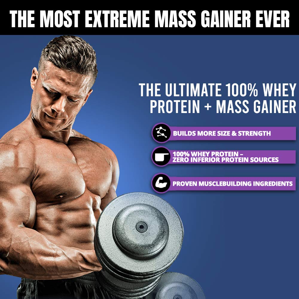 Mass Gainer Protein Powder | MuscleTech Mass-Tech Extreme 2000 | Muscle Builder Whey Protein Powder | Protein + Creatine + Carbs | Max-Protein Weight Gainer for Women & Men | Chocolate, 22 lbs