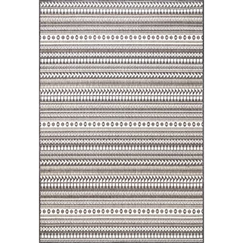 nuLOOM Teofila Indoor/Outdoor Accent Rug, 3x5, Grey