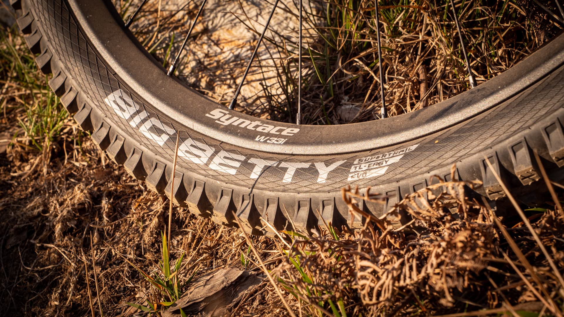 Schwalbe Unisex's Big Betty Perf, BikePark Tyres, Black, 62-622
